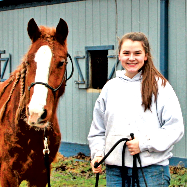 Horsing Around With Mustangs – The Harrodsburg Herald