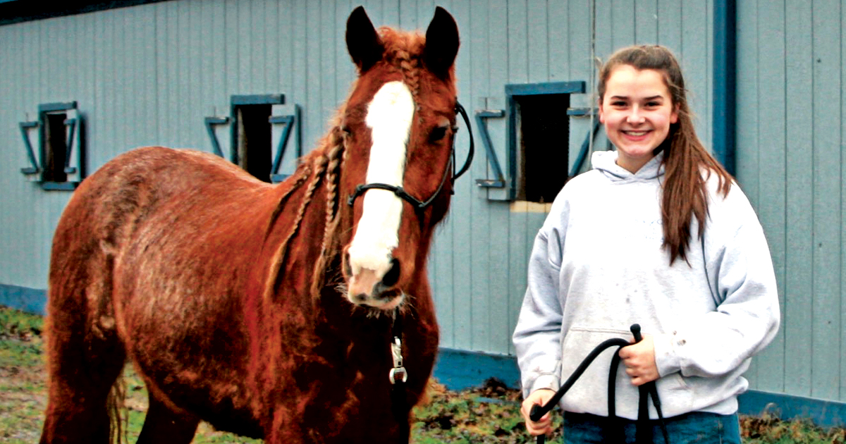 Horsing Around With Mustangs – The Harrodsburg Herald