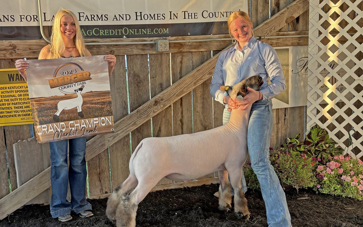 Trent Zinner Claims Blue Ribbons In All Four Breeding Sheep Divisions ...