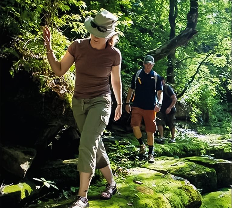 Discover A World Away Close To Home At Shaker Village – The Harrodsburg ...